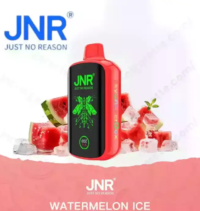 JNR SKYWALKER BOX 21000 PUFF – Disposable Vape - JNR Vape